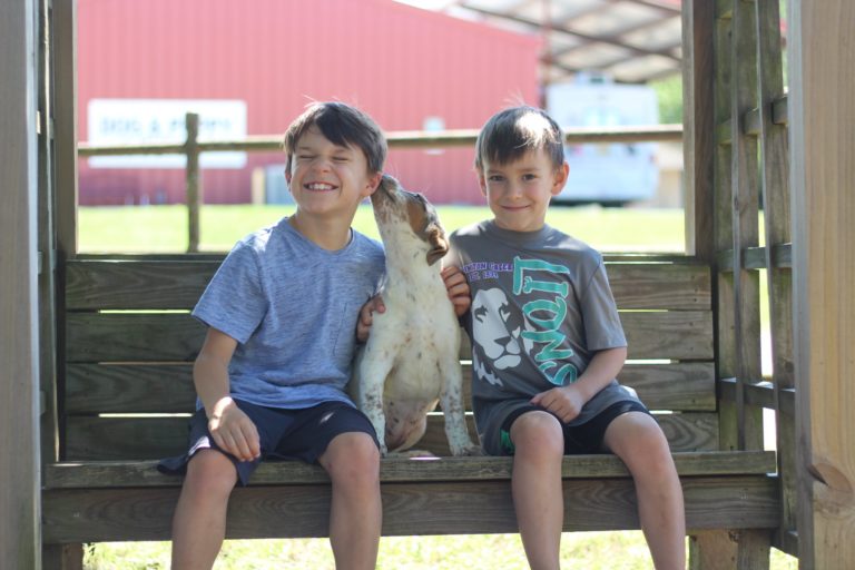 Aggieland Humane Society